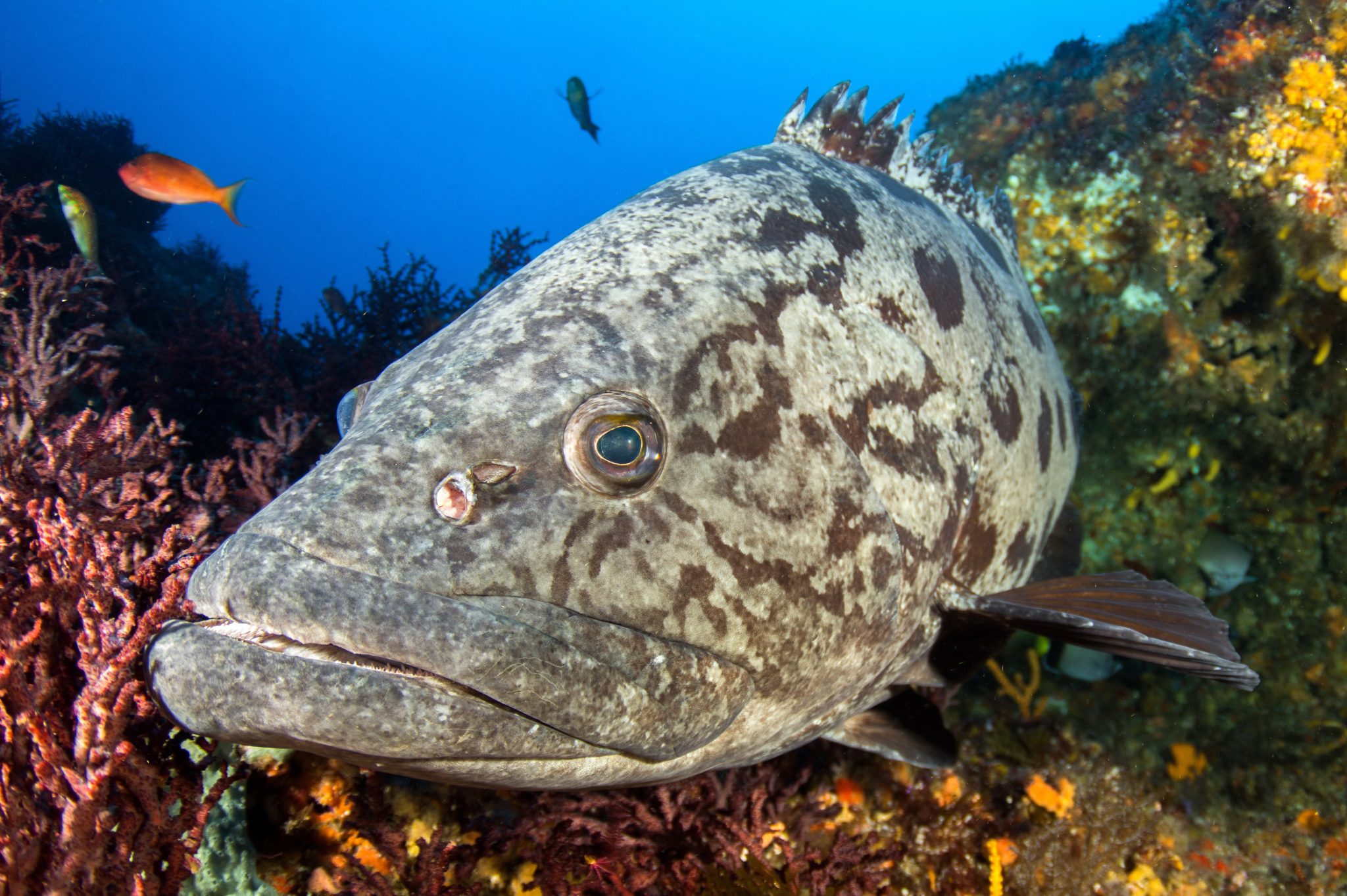 GUINJATA BAY BREATHTAKING NATURE VIEWS AND DIVING SPOTS - Sandton Scuba ...