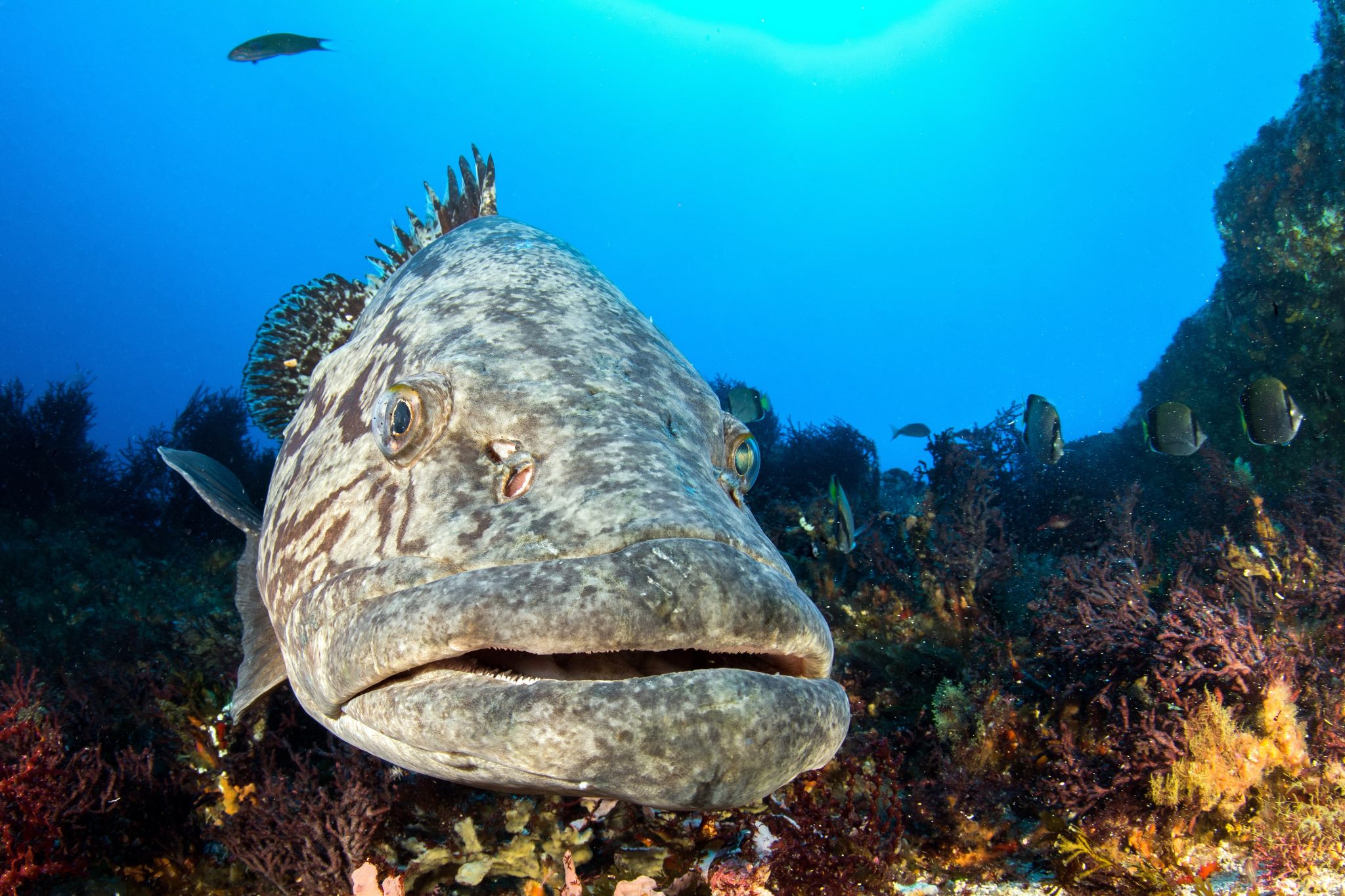 GUINJATA BAY BREATHTAKING NATURE VIEWS AND DIVING SPOTS - Sandton Scuba ...