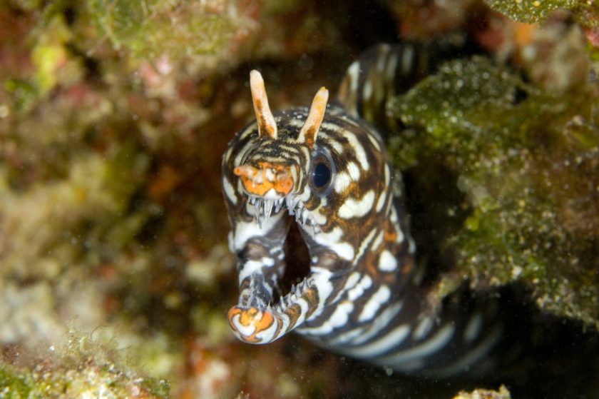 GUINJATA BAY BREATHTAKING NATURE VIEWS AND DIVING SPOTS - Sandton Scuba ...